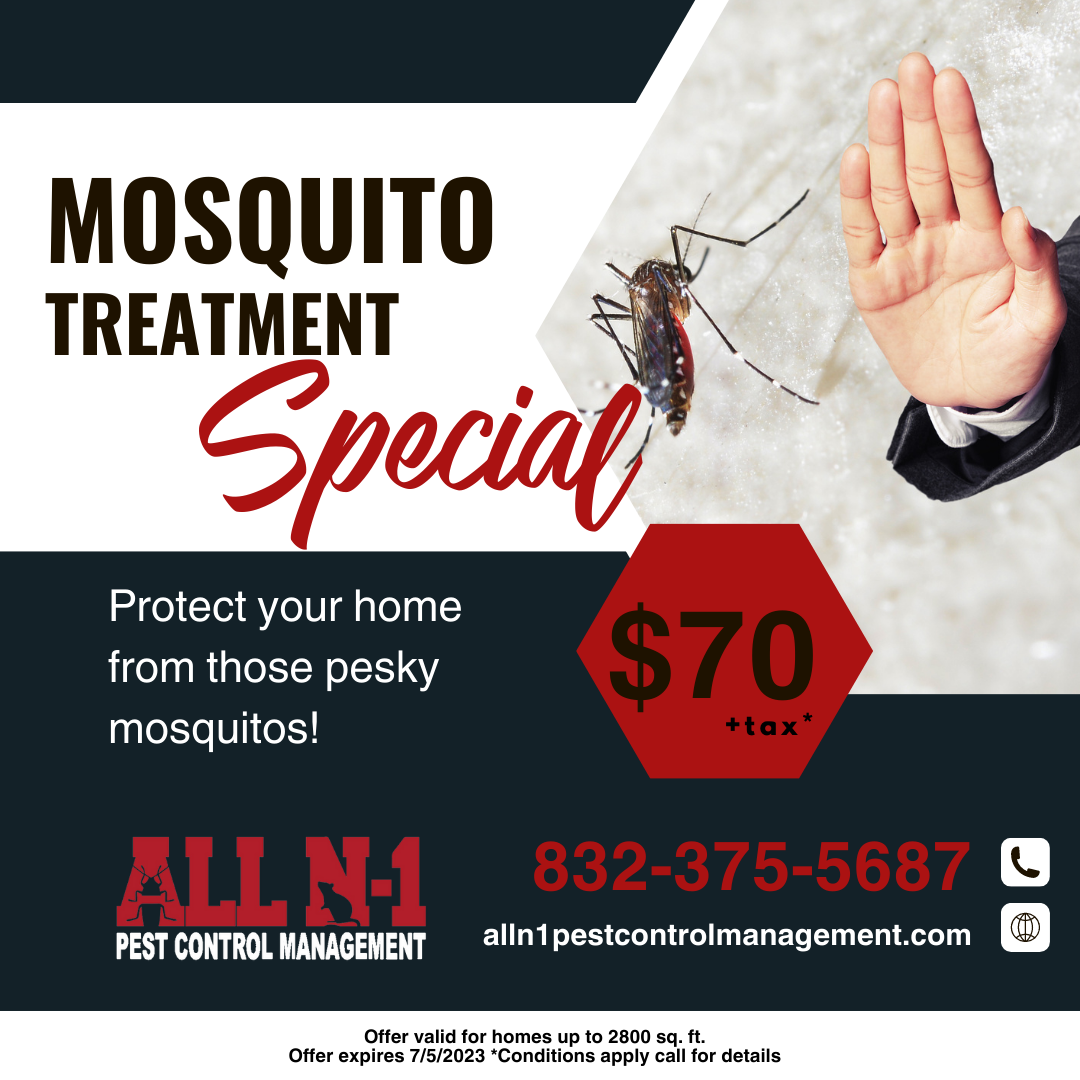 Save Money with Pest Control Coupons in Cypress & Katy